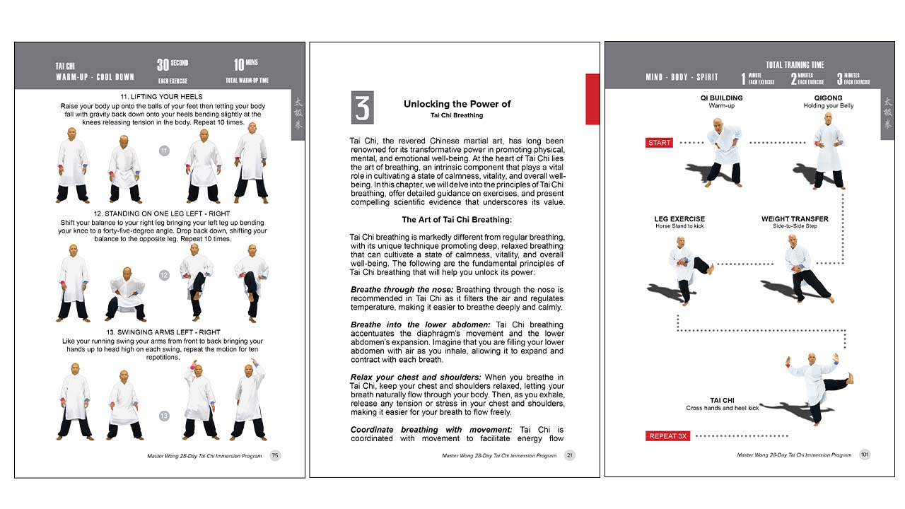 Tai Chi Transformation Challenge