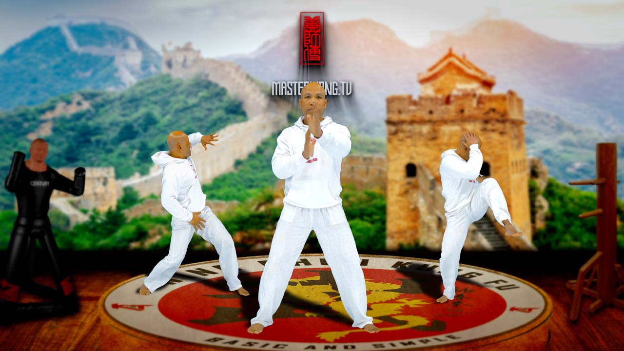 Wing Chun Mastery